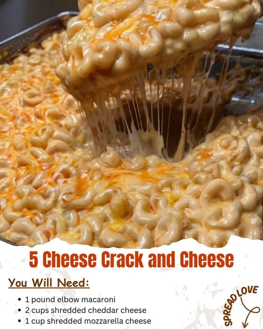 5 Cheese Crack and Cheese – Best Recipes